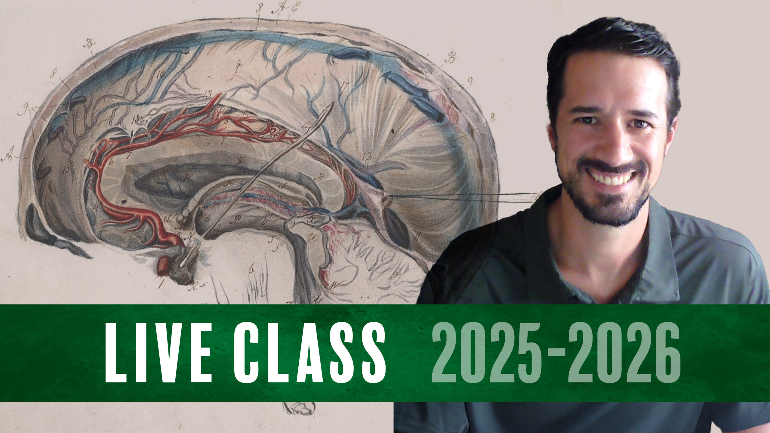 Anatomy & Physiology Live – My Compass Classroom
